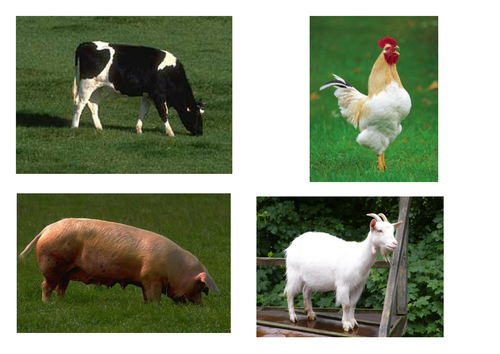 A SQUASH AND A SQUEEZE TEACHING RESOURCE SET PLUS STICK PUPPETS MASKS ...