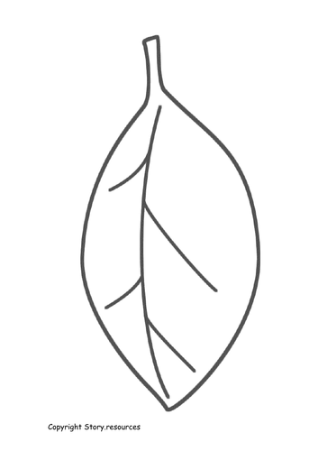 ANIMAL BOOGIE MASKS AND RESOURCE SET EYFS LITERACY KS1 | Teaching Resources