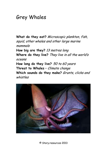 IM THE BIGGEST THING IN THE OCEAN STORY RESOURCE SET EYFS KS1 LITERACY ...