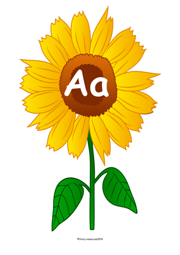 SAM PLANTS A SUNFLOWER SPRING TEACHING RESOURCE EYFS KS1 LITEARCY ...