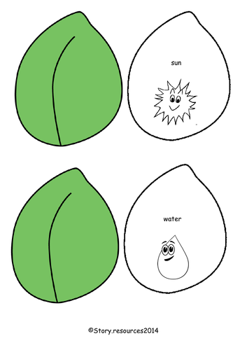 SAM PLANTS A SUNFLOWER SPRING TEACHING RESOURCE EYFS KS1 LITEARCY ...