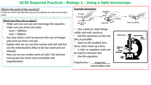 AQA Combined Science - Required Practical Summary - Biology Paper 1 and ...