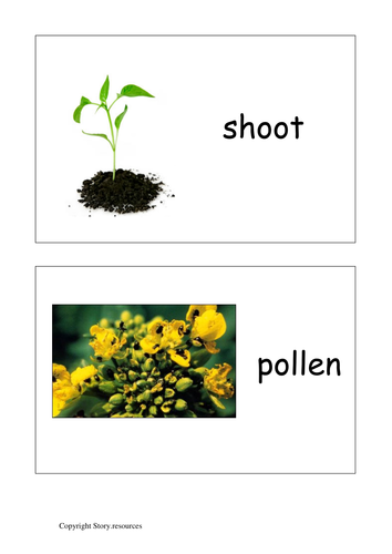 GARDEN CENTRE ROLE PLAY EYFS RESOURCES | Teaching Resources