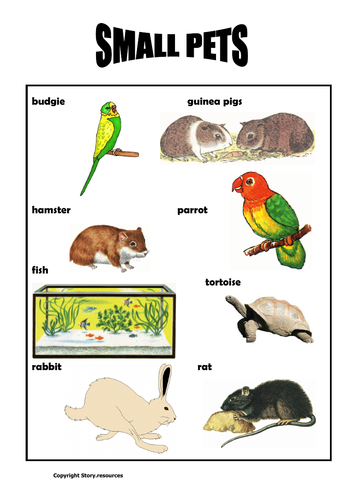 VETS ROLEPLAY RESOURCES EYFS KS1 | Teaching Resources