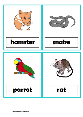 VETS ROLEPLAY RESOURCES EYFS KS1 | Teaching Resources