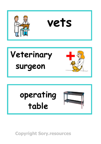 VETS ROLEPLAY RESOURCES EYFS KS1 | Teaching Resources