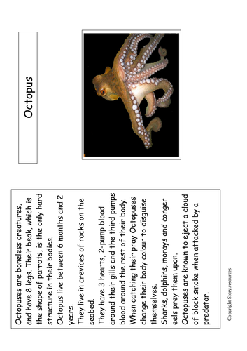 RAINBOW FISH TEACHING RESOURCE STORY SACK EYFS KS1 | Teaching Resources