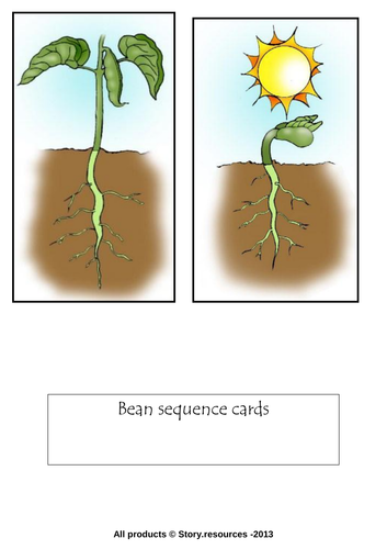 Titch Teaching Resource Story Sack Growing Eyfs Ks1 Spring Teaching