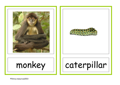 MONKEY PUZZLE STORY RESOURCES EYFS KS1 | Teaching Resources