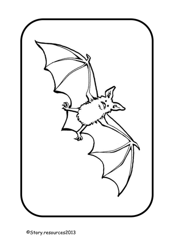 MONKEY PUZZLE STORY RESOURCES EYFS KS1 | Teaching Resources