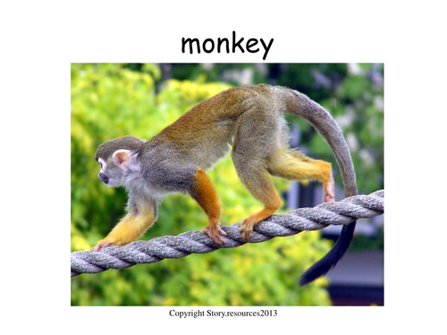 MONKEY PUZZLE STORY RESOURCES EYFS KS1 | Teaching Resources