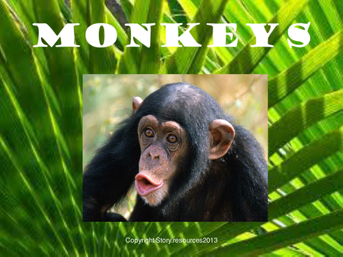 MONKEY PUZZLE STORY RESOURCES EYFS KS1 | Teaching Resources