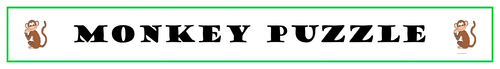 MONKEY PUZZLE STORY RESOURCES EYFS KS1 | Teaching Resources