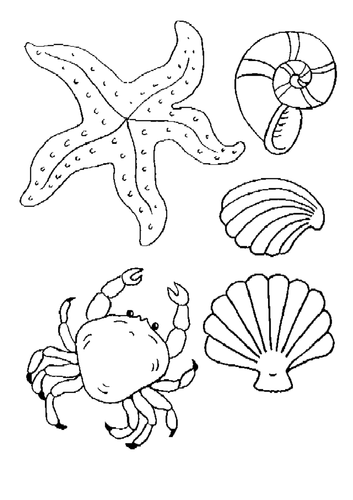 LUCY AND TOM AT THE SEASIDE STORY BOOK RESOURCES EYFS KS1 | Teaching ...