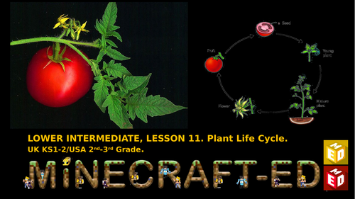 The plant life cycle bundle PPT lesson 7-9 years with Homework ...