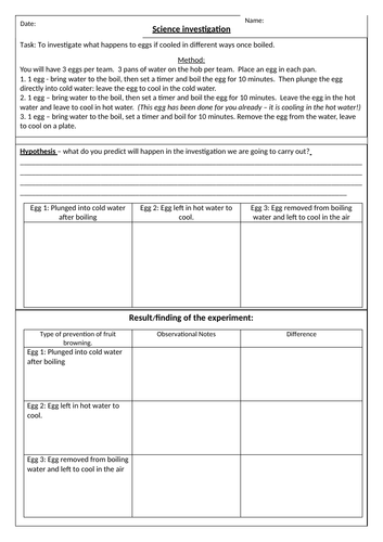 NEA1 Food Experiment: Eggs | Teaching Resources