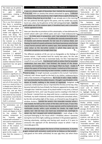 Frankenstein Chapters 1-5 Fully Annotated | Teaching Resources
