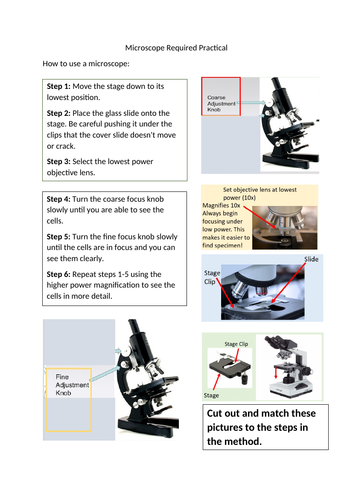 CB1b Core Practical - Using Microscopes | Teaching Resources