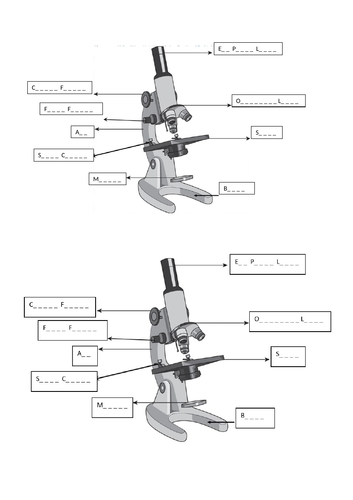 CB1b Core Practical - Using Microscopes | Teaching Resources