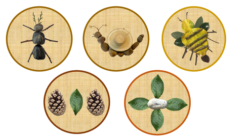 Loose Parts Natural Slices | Teaching Resources