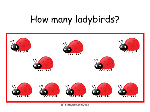 WHAT THE LADYBIRD HEARD STORY BOOK RESOURCE EYFS KS1 | Teaching Resources