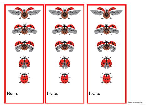 WHAT THE LADYBIRD HEARD STORY BOOK RESOURCE EYFS KS1 | Teaching Resources