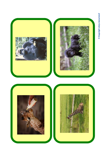 RUMBLE IN THE JUNGLE MATCH MUMMY AND BABY ANIMALS STORY RESOURCE EYFS ...