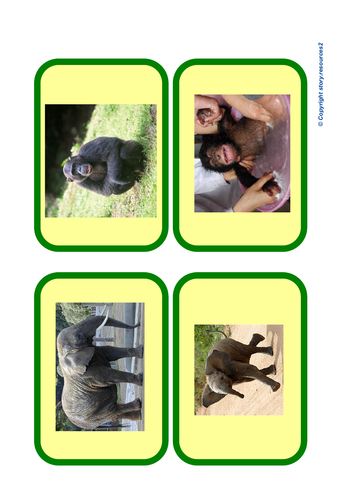 RUMBLE IN THE JUNGLE MATCH MUMMY AND BABY ANIMALS STORY RESOURCE EYFS ...
