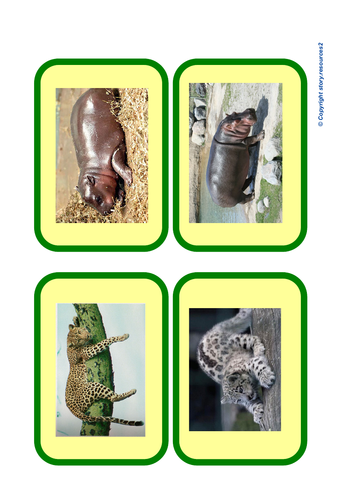 RUMBLE IN THE JUNGLE MATCH MUMMY AND BABY ANIMALS STORY RESOURCE EYFS ...
