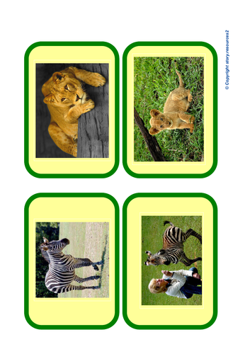 RUMBLE IN THE JUNGLE MATCH MUMMY AND BABY ANIMALS STORY RESOURCE EYFS ...