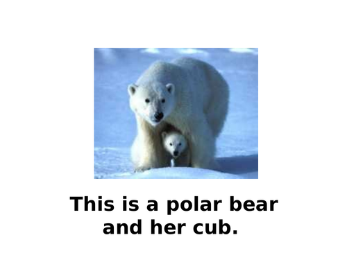 PEACE AT LAST RESOURCES EYFS LITERACY LETTERS AND SOUNDS PHASE 1 ...