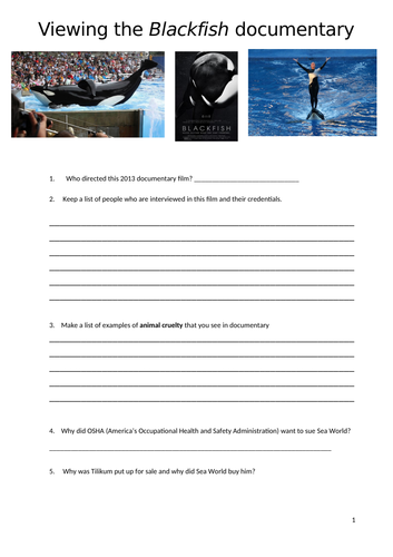 Essential English – learning about animal abuse through viewing the ...