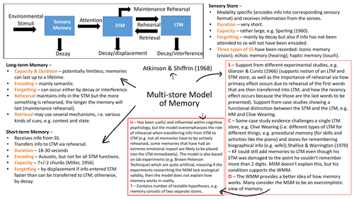 EDEXCEL AS Cognitive and Social Psychology - Summary Revision Mindmaps | Teaching Resources