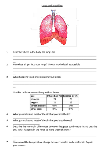 KS3 Human Body Unit | Teaching Resources