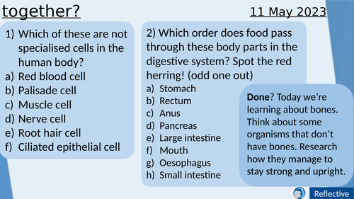 KS3 Human Body Unit | Teaching Resources