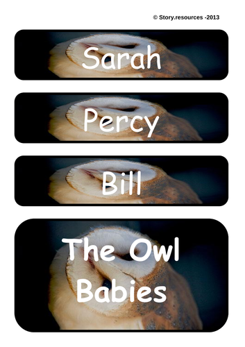 OWL BABIES RESOURCES STORY BOOK LITERACY EYFS KS1 | Teaching Resources