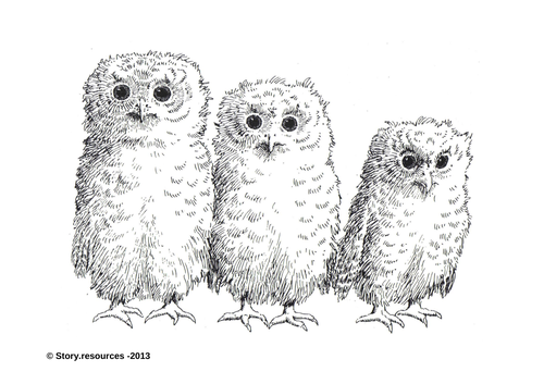 OWL BABIES RESOURCES STORY BOOK LITERACY EYFS KS1 | Teaching Resources