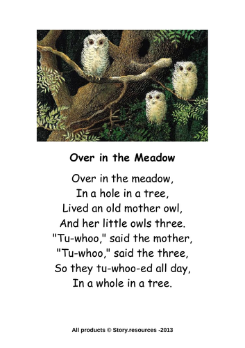 OWL BABIES RESOURCES STORY BOOK LITERACY EYFS KS1 | Teaching Resources