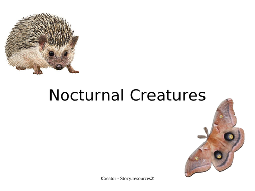 OWL BABIES RESOURCES STORY BOOK LITERACY EYFS KS1 | Teaching Resources