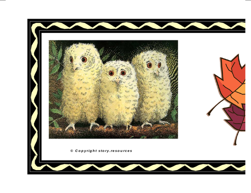 OWL BABIES RESOURCES STORY BOOK LITERACY EYFS KS1 | Teaching Resources