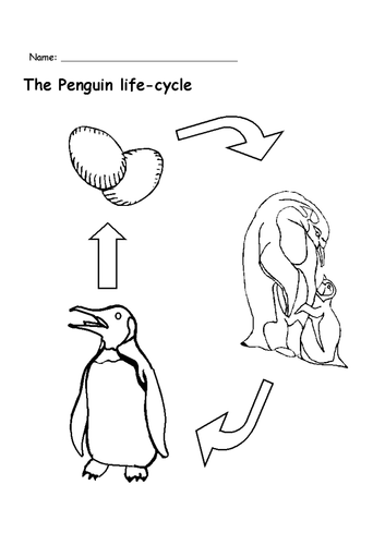 COMMOTION IN THE OCEAN STORY BOOK RESOURCE LITERACY RHYMING EYFS KS1 ...