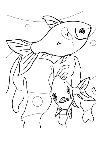 COMMOTION IN THE OCEAN STORY BOOK RESOURCE LITERACY RHYMING EYFS KS1 ...