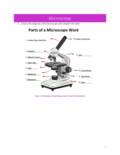 Microscopy Teaching Resources
