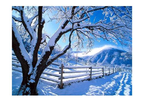 WINTER TOPIC SEASONS RESOURCES EYFS KS1 | Teaching Resources