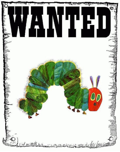 THE VERY HUNGRY CATERPILLAR LARGE SET OF STORY RESOURCES LITERACY ...