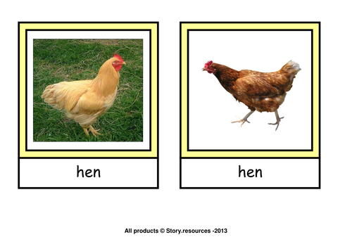 FARMER DUCK STORY BOOK RESOURCE EYFS LITERACY KS1 | Teaching Resources