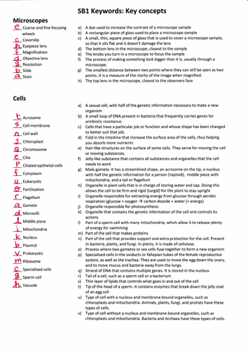 Edexcel Triple Biology Keyword Practice | Teaching Resources