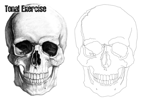 Skulls GCSE Scheme of work | Teaching Resources