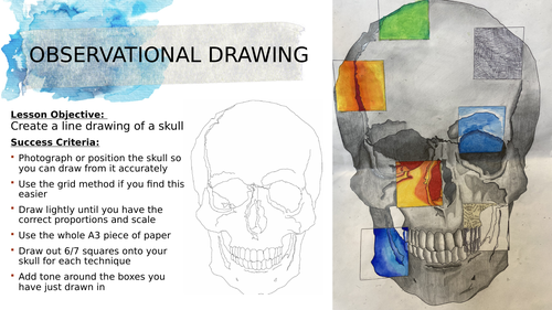 Skulls GCSE Scheme of work | Teaching Resources