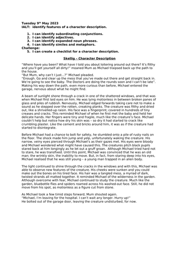 Skellig - Character Description - WAGOLL | Teaching Resources